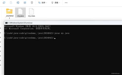 【java se】初识java csdn博客