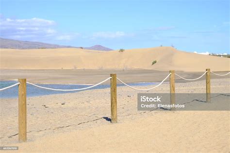 마스 팔로 마스 석호 및 자연 보호에 그 란 카나리아 스페인 Charca 데 마스 팔로 마스의 언덕에서 볼 0명에 대한 스톡 사진 및 기타 이미지 Istock