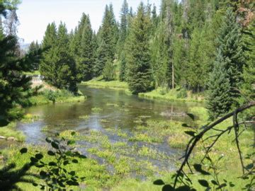 Wanderlust Big Springs Idaho The Begining Of The Henrys Fork