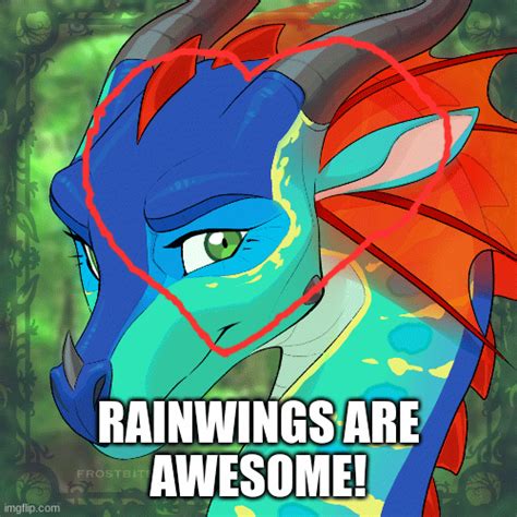 Rainwings Rainwings Imgflip
