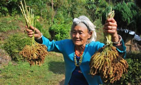 Indigenous Food Systems Biocultural Heritage And Agricultural