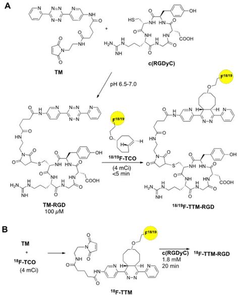 Efficient 18f Labeling Of Cysteine Containing Peptides And Proteins