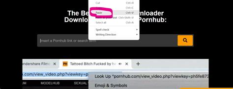 How To Save Porn Videos With The Best 3 Options Steps Advantages