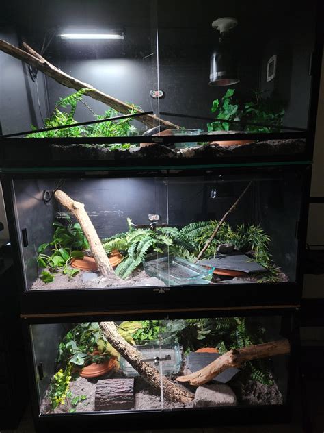 I Want Another Ball Python Rballpython