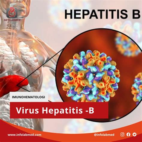 Pemeriksaan Hepatitis B