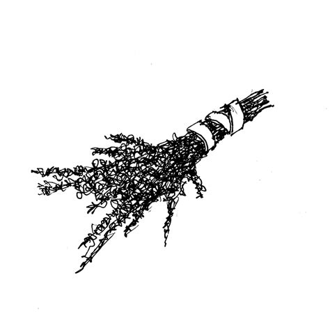 Notes From The Garden — Chatwin Books