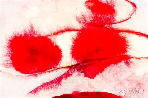 Red Dye Bleeding On Japanese Traditional Calligraphy Paper • Adesivos