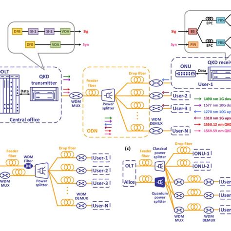 Schematic Layout Of Three Coexistience Schemes A Full Coexistence