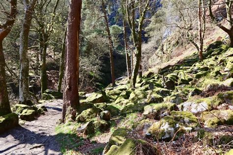 Pistyll Rhaeadr Waterfall Walk Stand At The Top Of Wales Tallest