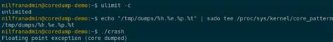 Customize Core Dump In Azure Kubernetes NillsF Blog