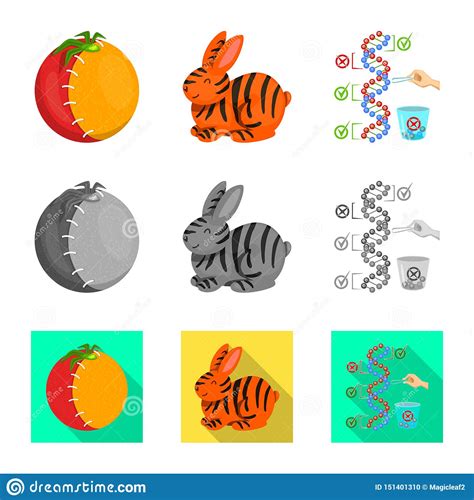 Vector Design Of Test And Synthetic Icon Collection Of Test And