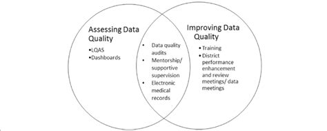 Categorization Of Data Quality Activities Download Scientific Diagram