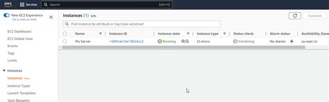 Launching An Ec2 Instance