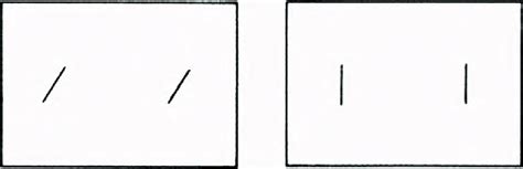 And Figure 16b Dynamic And Static Fields Figures 36 And 35 From John