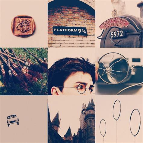 Harry Potter Oneshots Harry Potter X Reader Wattpad