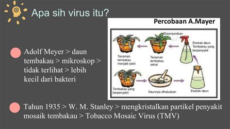 Ppt Virus Pptx