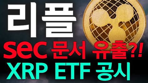 리플 이더리움etf승인 다음은 Xrp Etf 승인 신청 준비 끝 Sec 리플에 항복선언 리또속 그만 급등한다 리플 리플코인 리플목표가 리플코인전망 리플전망
