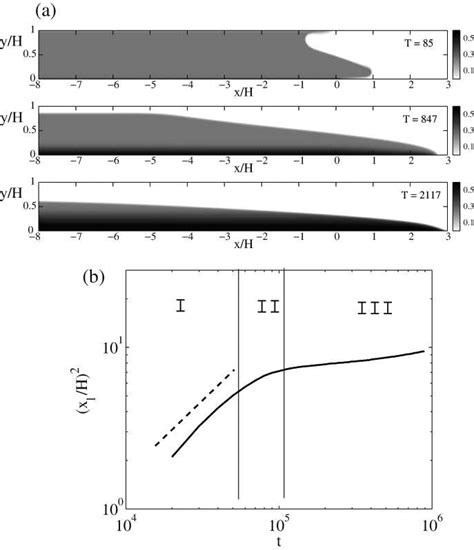 Three Phases In The Temporal Evolution Of A Particleladen Gravity
