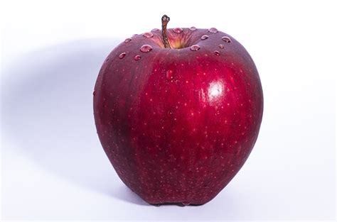 One Red Apple With Water Droplets High Quality Free Stock Images