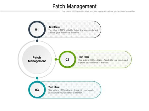 Patch Management Ppt Powerpoint Presentation Portfolio Gallery Cpb PowerPoint Slide Template