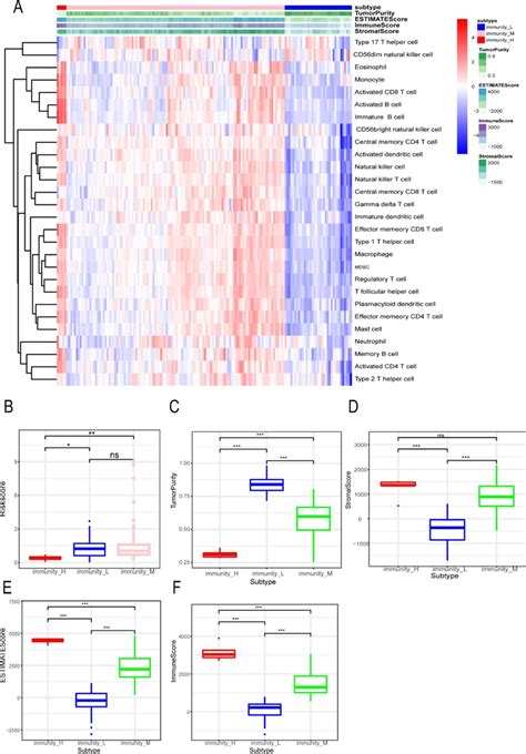 Ssgsea To Perform Immune Activity Stratification And The Correlation Download Scientific