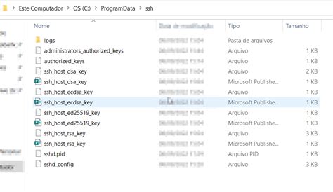 solução para fazer deploy em maquina windows 10 ssh e scp do linux