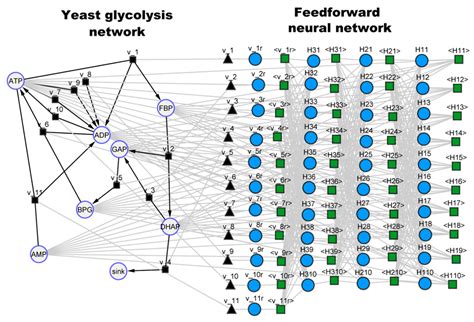 A General Hybrid Modeling Framework For Systems Biology Applications