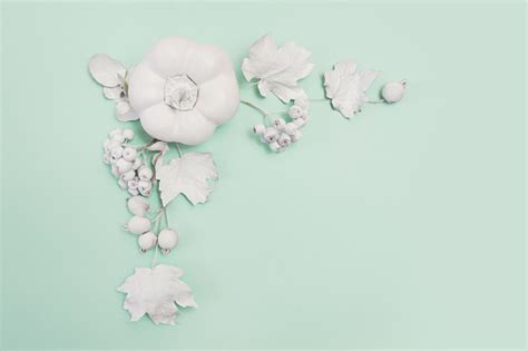 호박 딸기와 녹색 파스텔가 배경에 잎 프레임 이랑 인사말 카드 소박한 스타일에서 추수 감사절에 대 한 텍스트를 위한 공간 플랫이 하다 상위 뷰 10월에 대한 스톡 사진 및