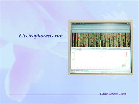 PPT High Throughput Genotyping PowerPoint Presentation Free Download ID 545134