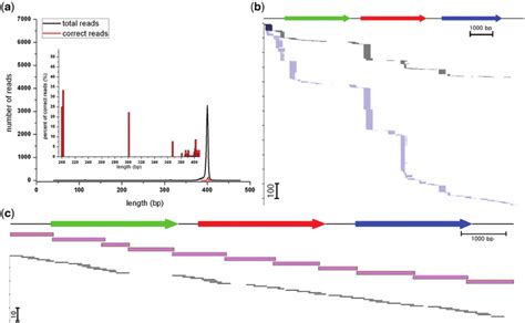 computational analysis of the 454 sequencing data from shotgun