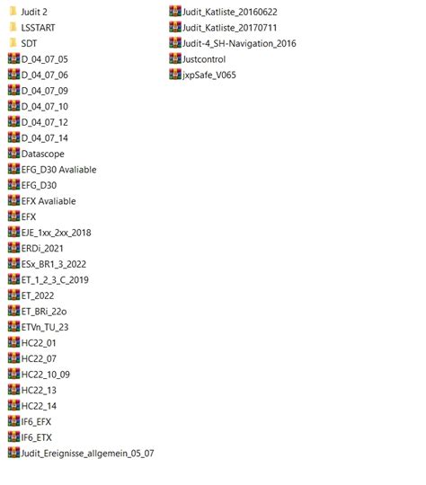 Jungheinrich Judit 2024 Missing Project Database