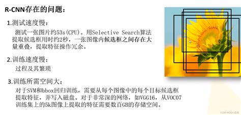 r cnn csdn博客