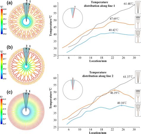 Temperature Distribution Along The Edge Of The Sector And Symmetry Axis