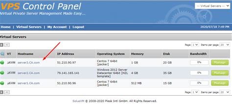How To Manage The Vps Server From The Vps Control Panel Bluevps