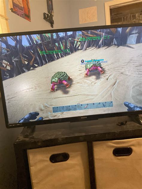 Is This A Color Mutation R ARK