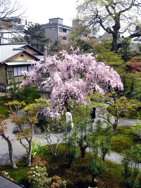 7 Exclusive Gardens From Japan
