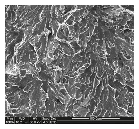 Fracture Morphology At The Final Stage Of Corrosion Fatigue Crack