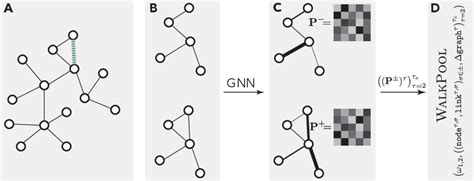 Figure 2 From Neural Link Prediction With Walk Pooling Semantic Scholar