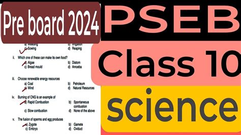 Pseb Class 10 Sample Paper Pseb 2024 Pre Board Pseb Solved Samplepaper Cbse Class10 Youtube