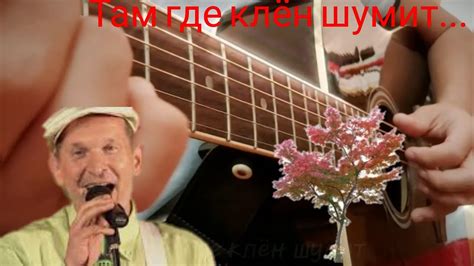 Там где клён шумит синяя птица Сваты 5 на гитаре фингерстайл Youtube