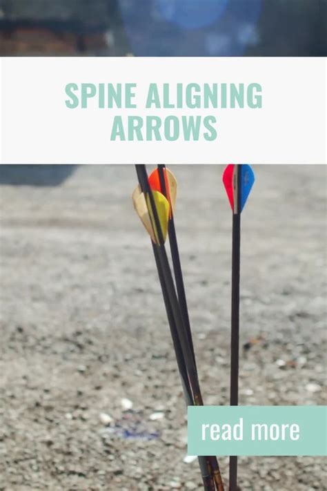 Spine Aligning Arrows Spines Archery Poses Archery Tips