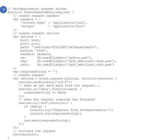 DB2 Native REST API Bonus Material Node Js Triton Consulting