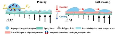 Self‐transportation Of Superparamagnetic Droplets On A Magnetic