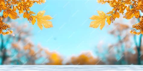 exploring the differences between traditional and digital art mediums