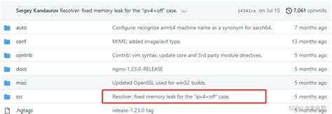 nginx 安全漏洞（cve 2022 3638）处理 csdn博客