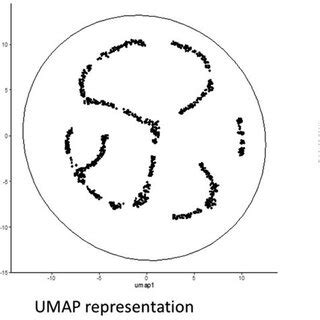 Different Interpretation Of UMAP Representations And PCA Analysis UMAP Download Scientific