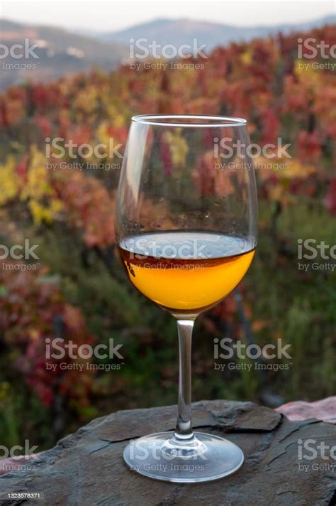 포르투갈의 와인 지역 인 도우로 밸리 에서 생산된 포르투갈 화이트 드라이 와인 한 잔과 가을의 배경에 오래된 계단식 포도원 0명에 대한 스톡 사진 및 기타 이미지 Istock