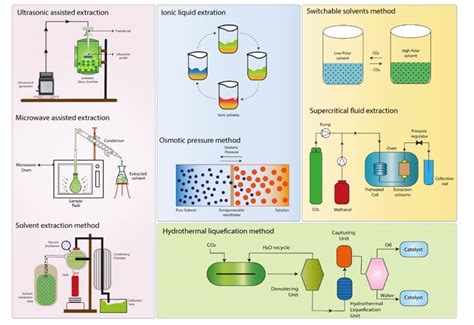 Monitoring Services For Algae Biofuel Production Algae