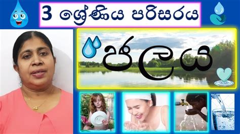 Grade 3 Parisaraya ජලය 3 ශ්‍රේණිය පරිසරය Jagathi Teacher Youtube