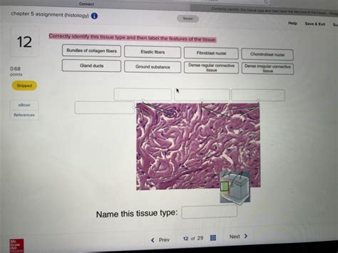 Solved Assignment Histology Saved Correctly Identify Th